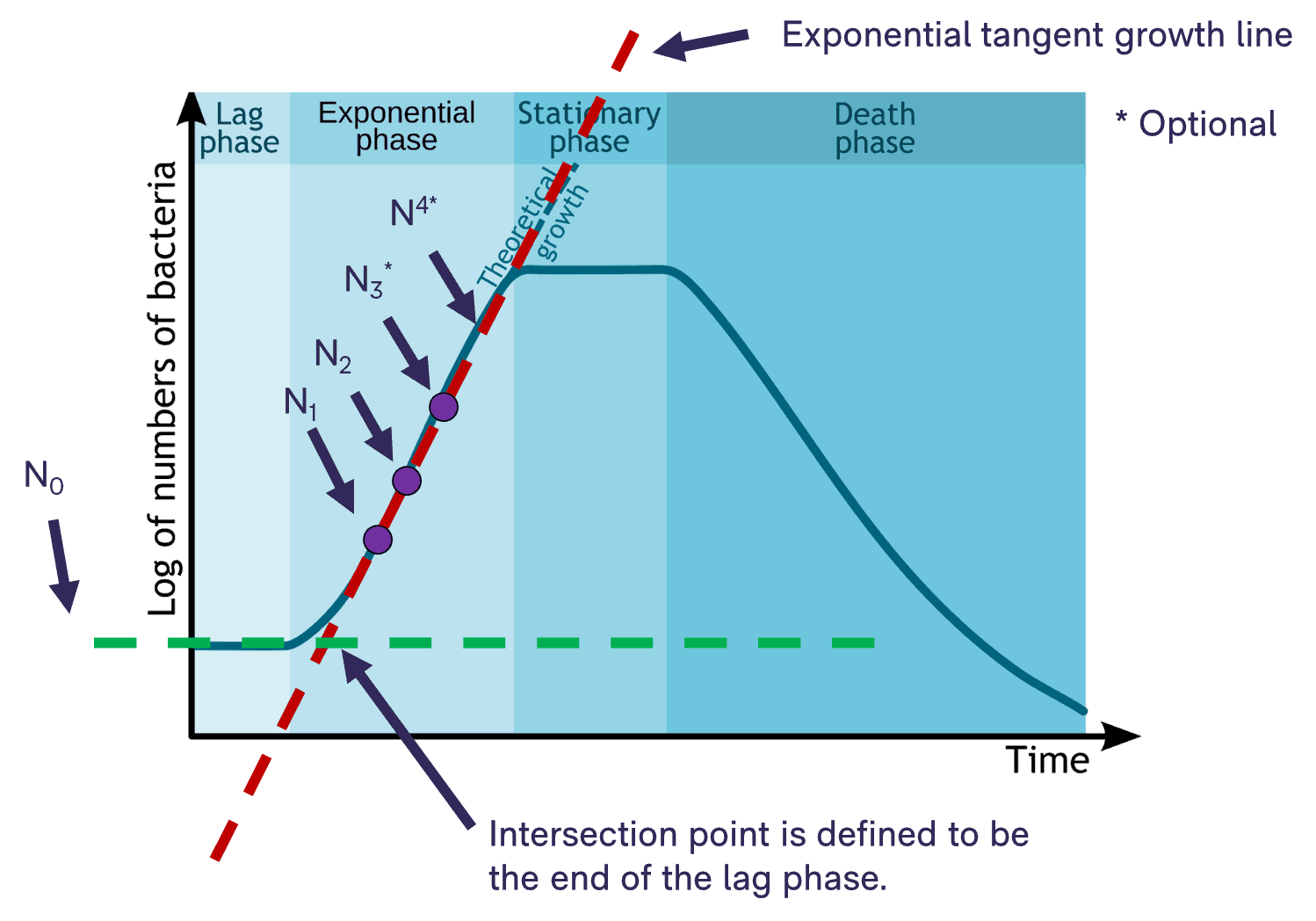 Lag Phase Calculator